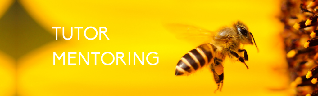 Tutor Mentoring | BRHYTHMIC
